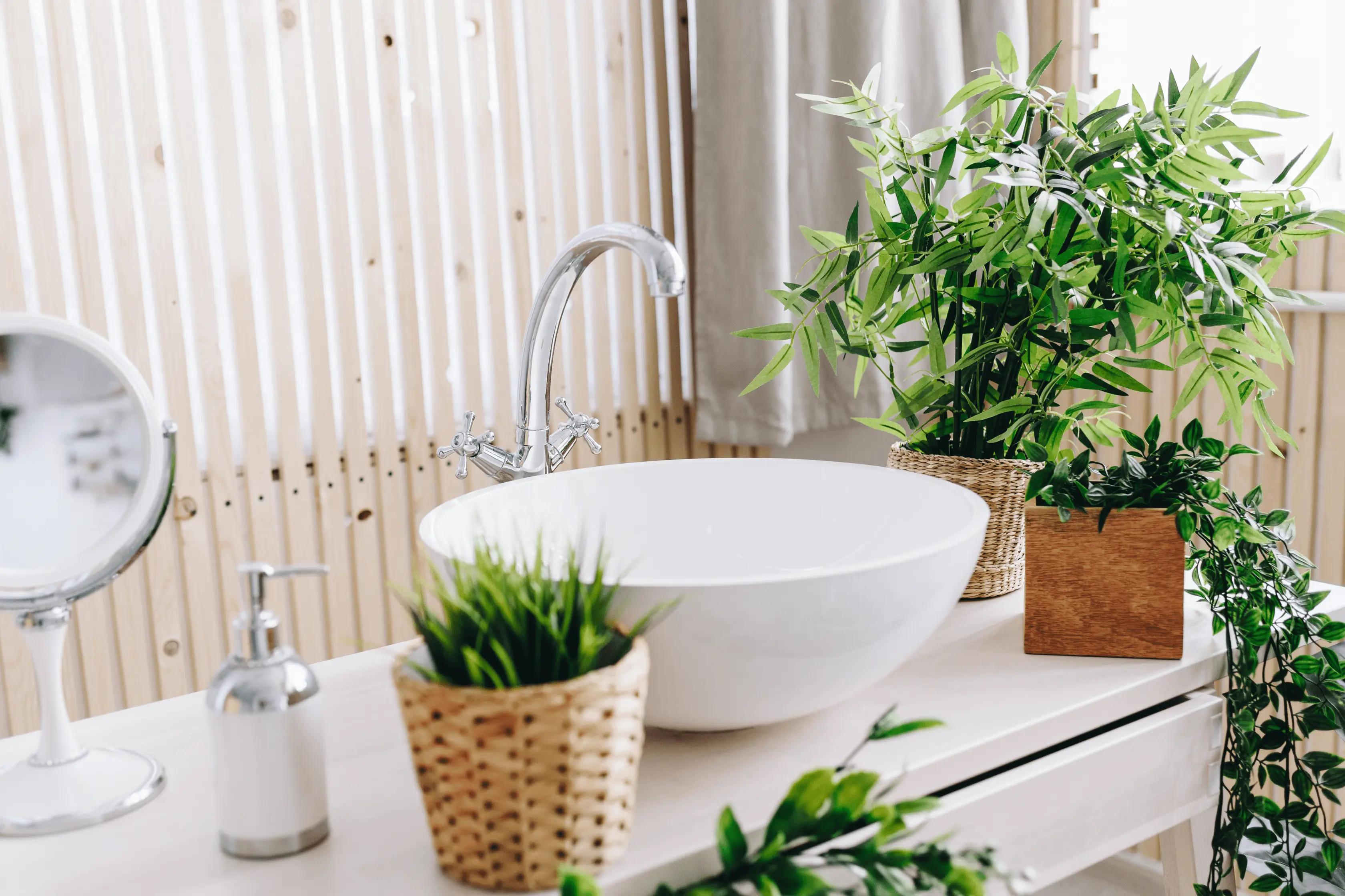 A Guide To The Best Plants For Bathrooms